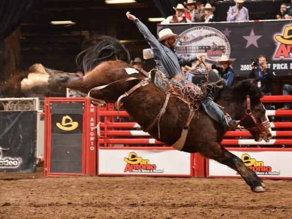 Here Are The Top 5 Things To Do In San Antonio This Weekend Flipboard here-are-the-top-5-things-to-do-in-san-antonio-this-weekend-flipboard