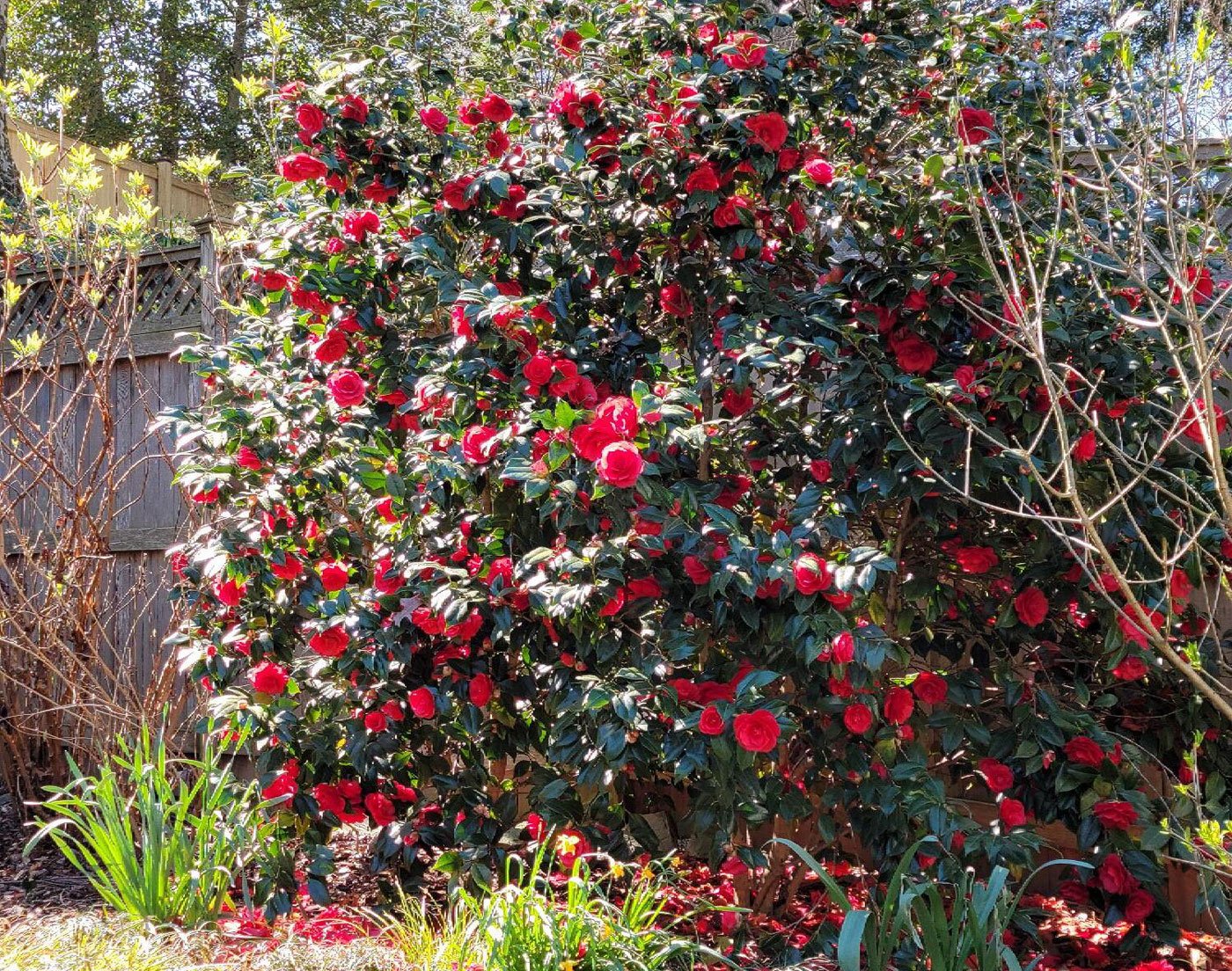 Signs Of Spring Abound Ehn