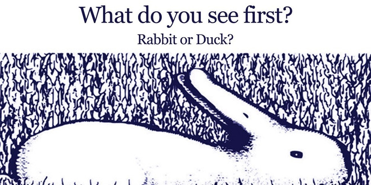What do you see first? : r/Rabbits