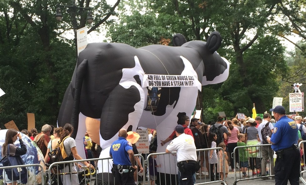 Mark Ruffalo, Paul McCartney Push Tangible Way To Tackle Climate Change