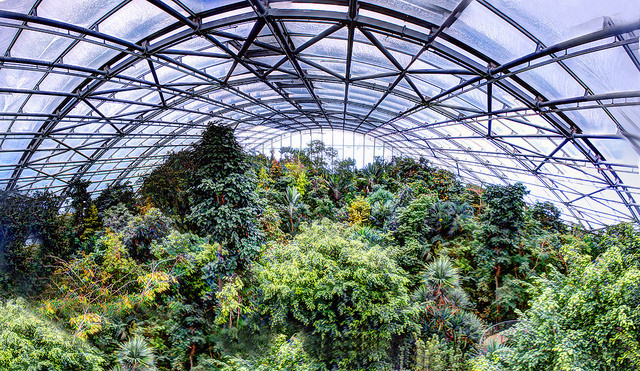 What Do Zoos Do For Conservation?