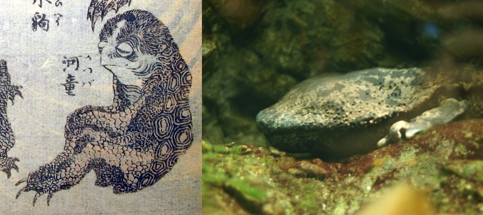 8 Mythical Creatures Who May Have Actually Been Based On Real Animals