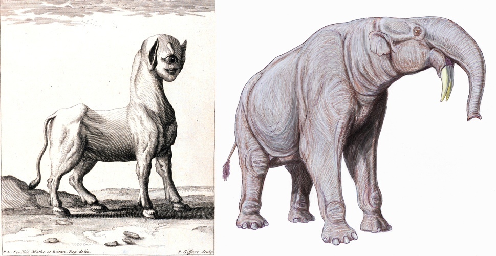 8 Mythical Creatures Who May Have Actually Been Based On Real Animals