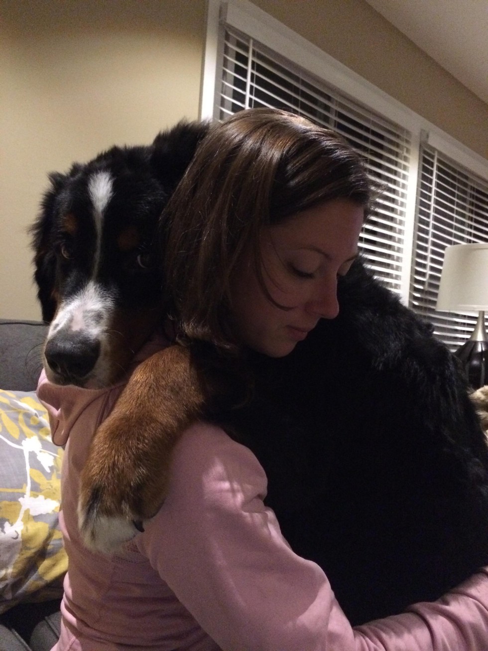 8 Pets Who Have Turned Hugging Into An Art Form