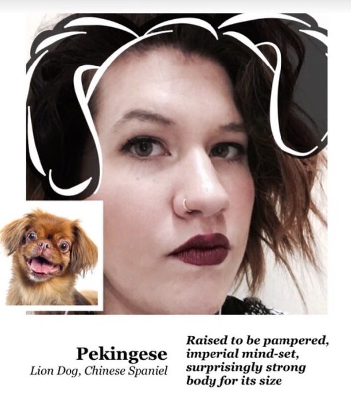 An App Can Now Tell You What Kind Of Dog You Look Like