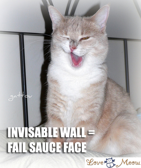 Lolcats Invisible
