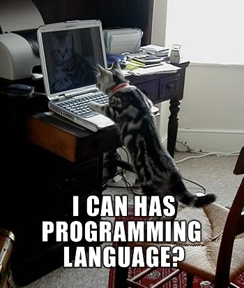 Lolcat Computer