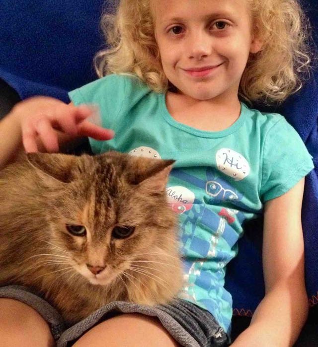 Frances the Cat is 21 Years Old, But Still a Kitten at Heart! - Love Meow