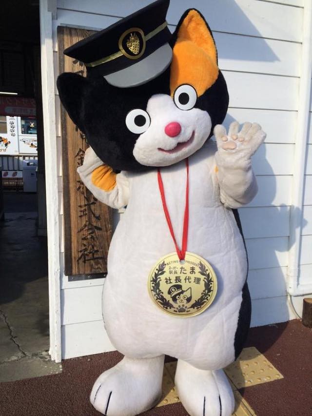 Station Master Tama, Rescue Cat that Saved a Train Station, Turns 16 ...