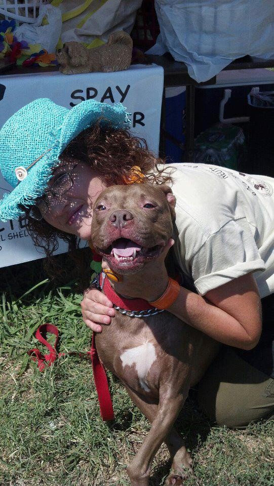 Ex Fighting Dog Spends His Life Making People Love Pit Bulls