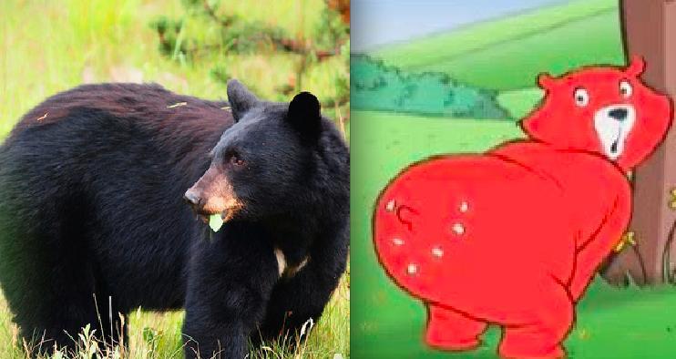 Exclusive: Which Bear Is The Charmin Bear?