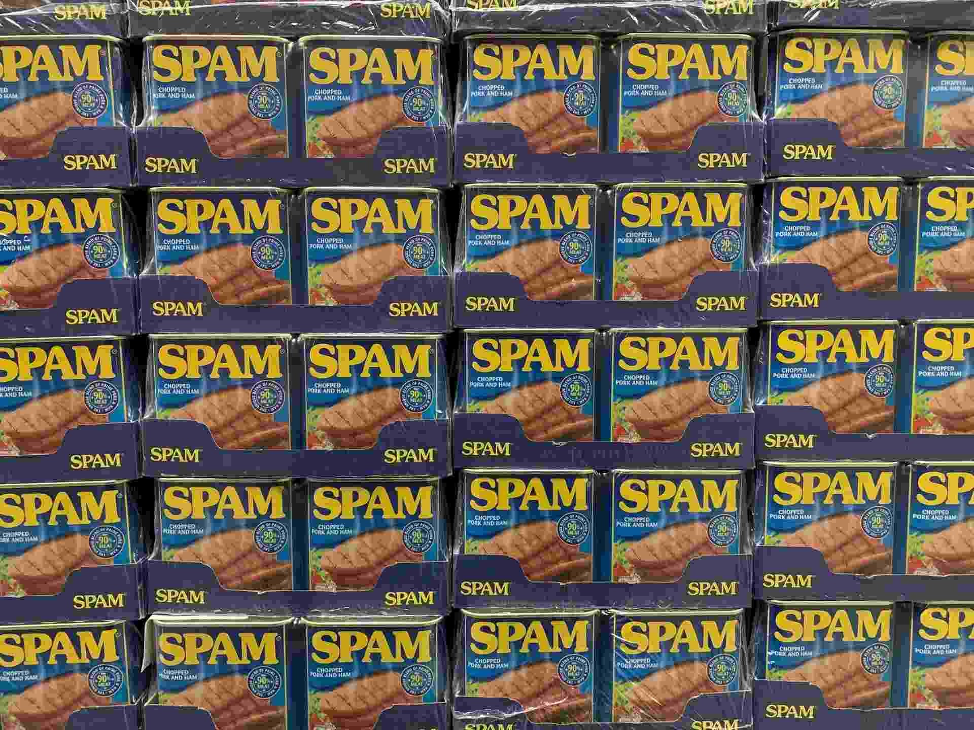 43 Spam Nutrition Facts: You Should Try This Once! | Kidadl