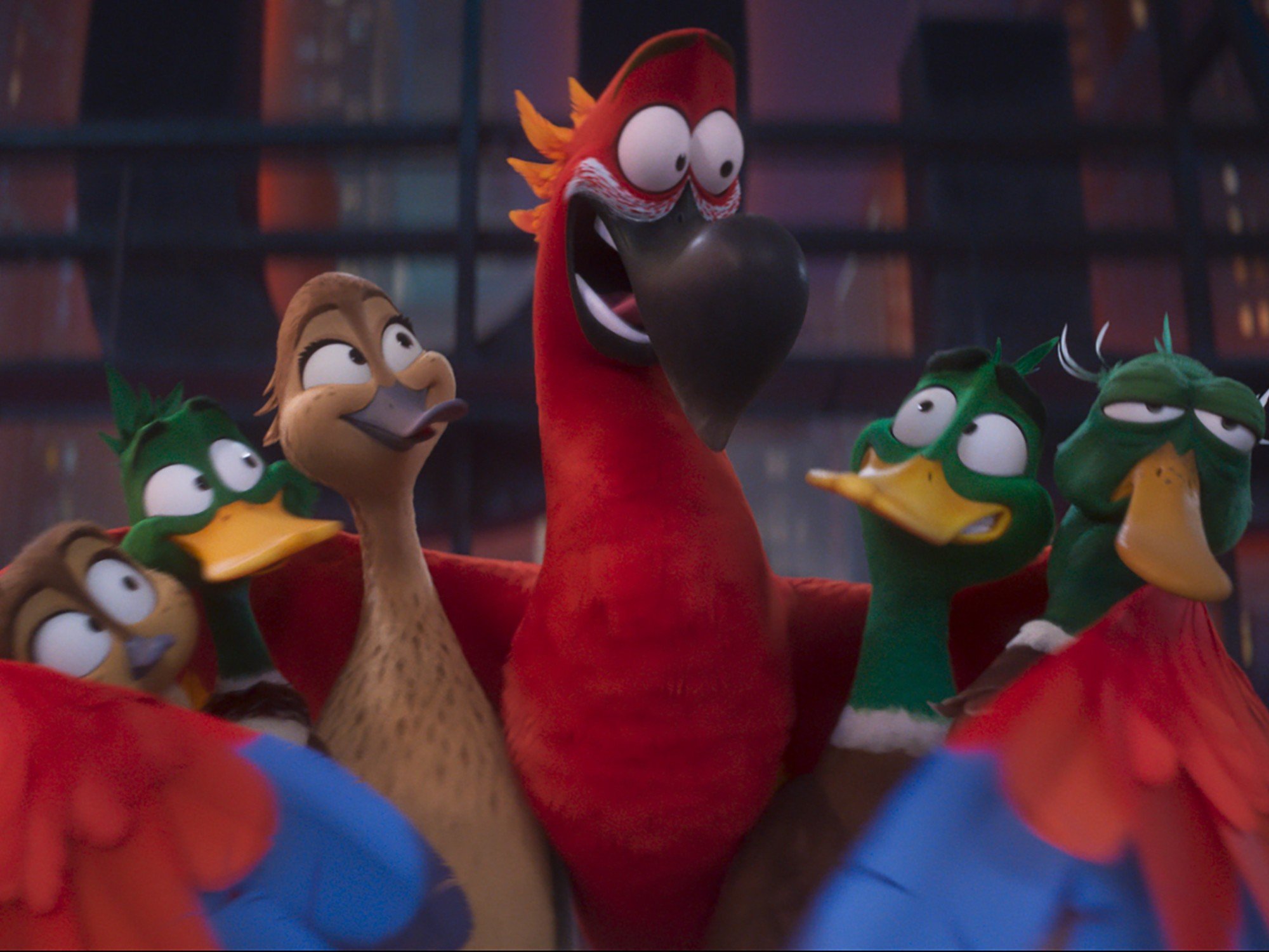 Film About Ducks