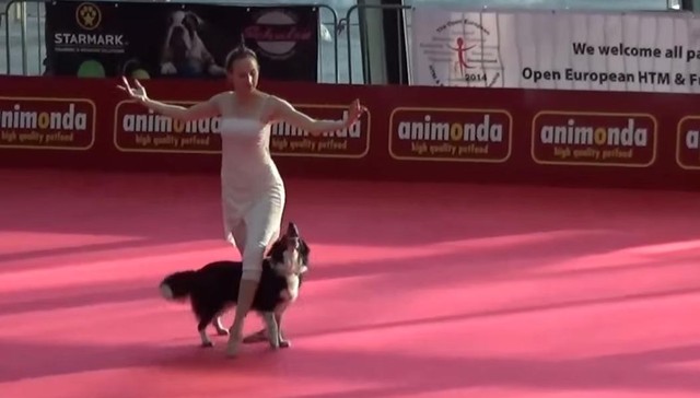 Dog Performs A Magical Dance Routine With Her Human