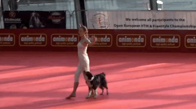 Dog Performs A Magical Dance Routine With Her Human