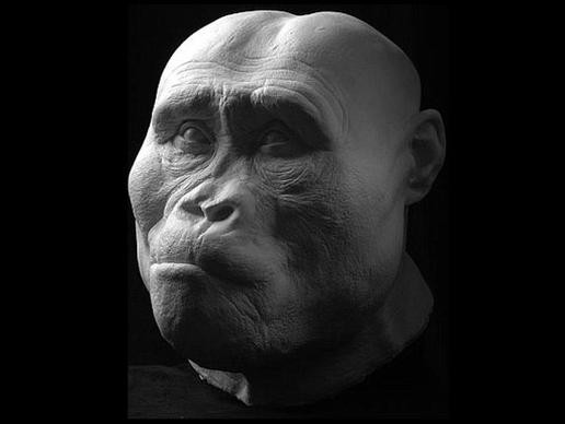 45,000-Year-Old Man Was Human-Neanderthal Mix - Seeker