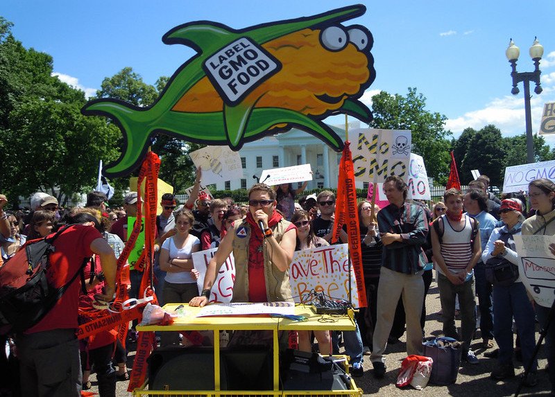 Mexico defends its corn and health with GM corn ban - EHN