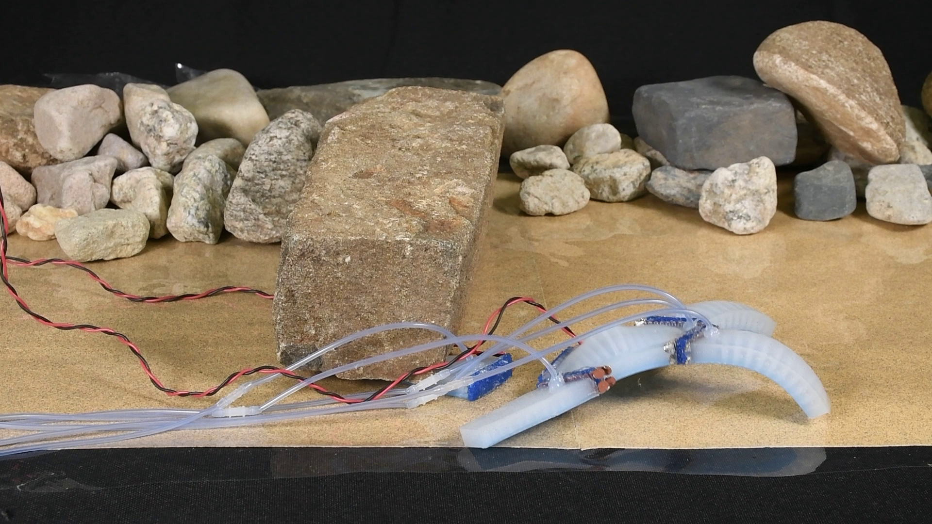 Soft Robot Demonstrates Self-Amputation and Reattachment of Its Own ...