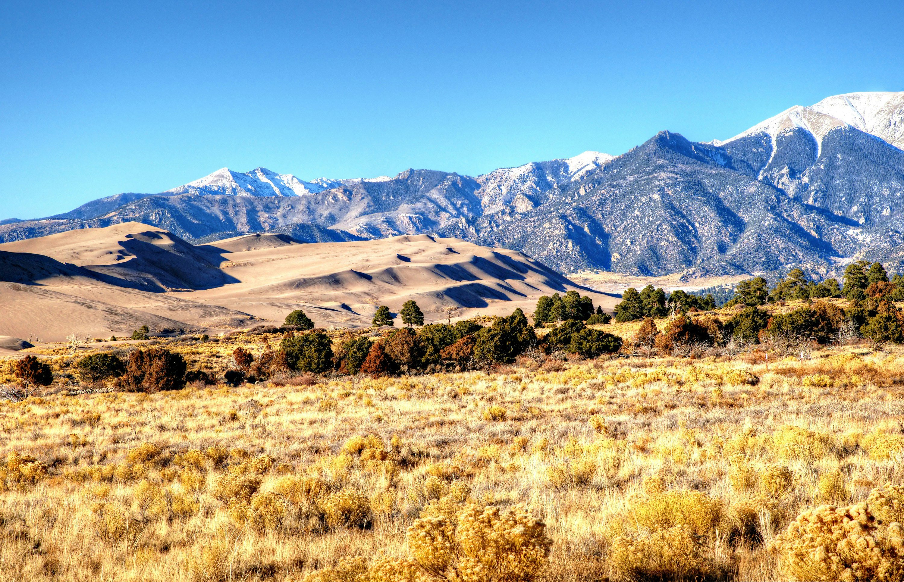 Climate change leads to unexpected greening in drylands - EHN
