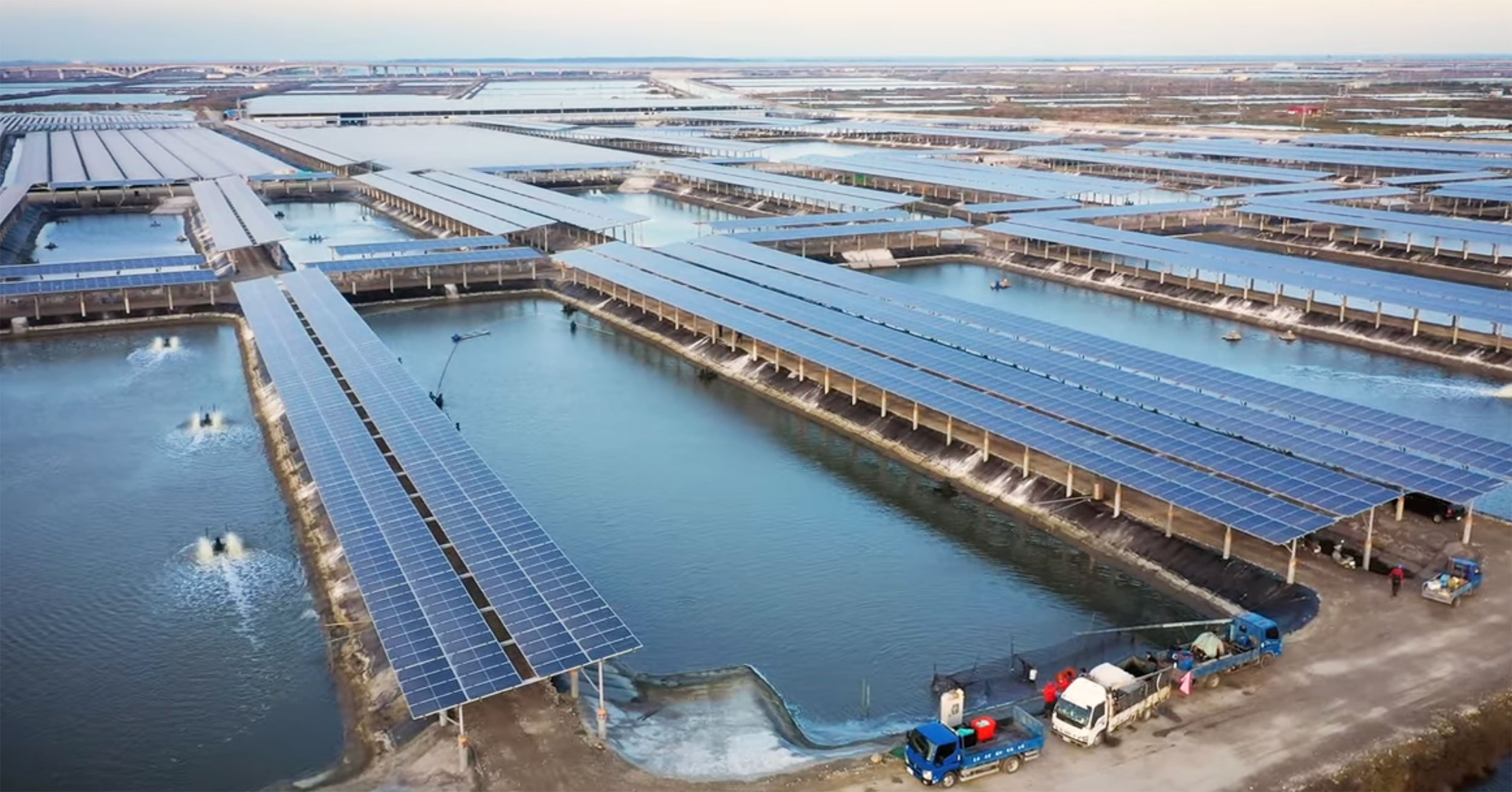 Chinese Fish Farms China Plans To Tighten Environmental Regulation Of