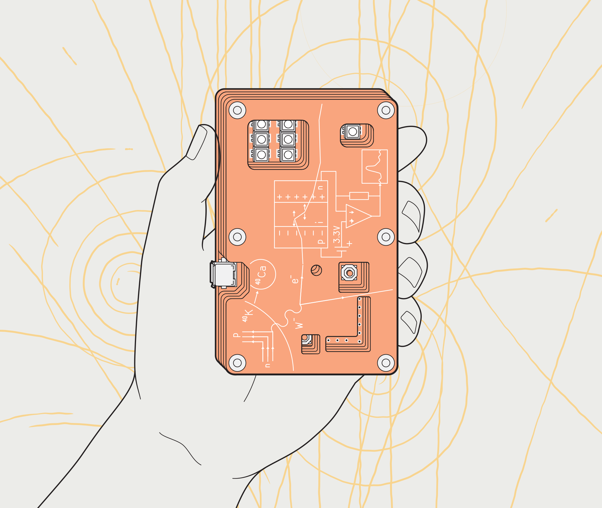 Photodiode Radiation Detector