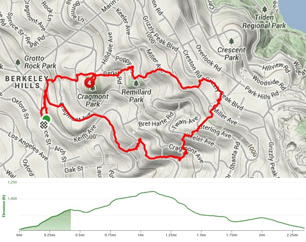 The Ultimate Sunday Hike: Berkeley Hills Walking Paths - 7x7 Bay Area