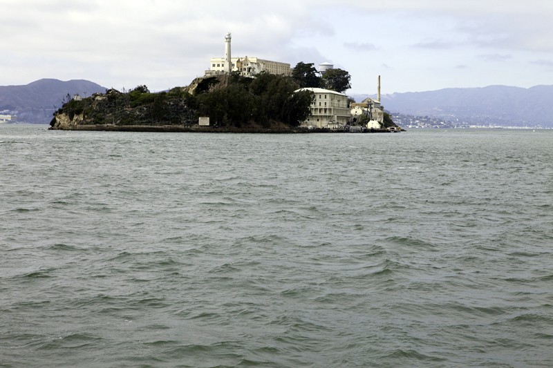 A Close-Up Look at the Colorful Gardens of Alcatraz - 7x7 Bay Area