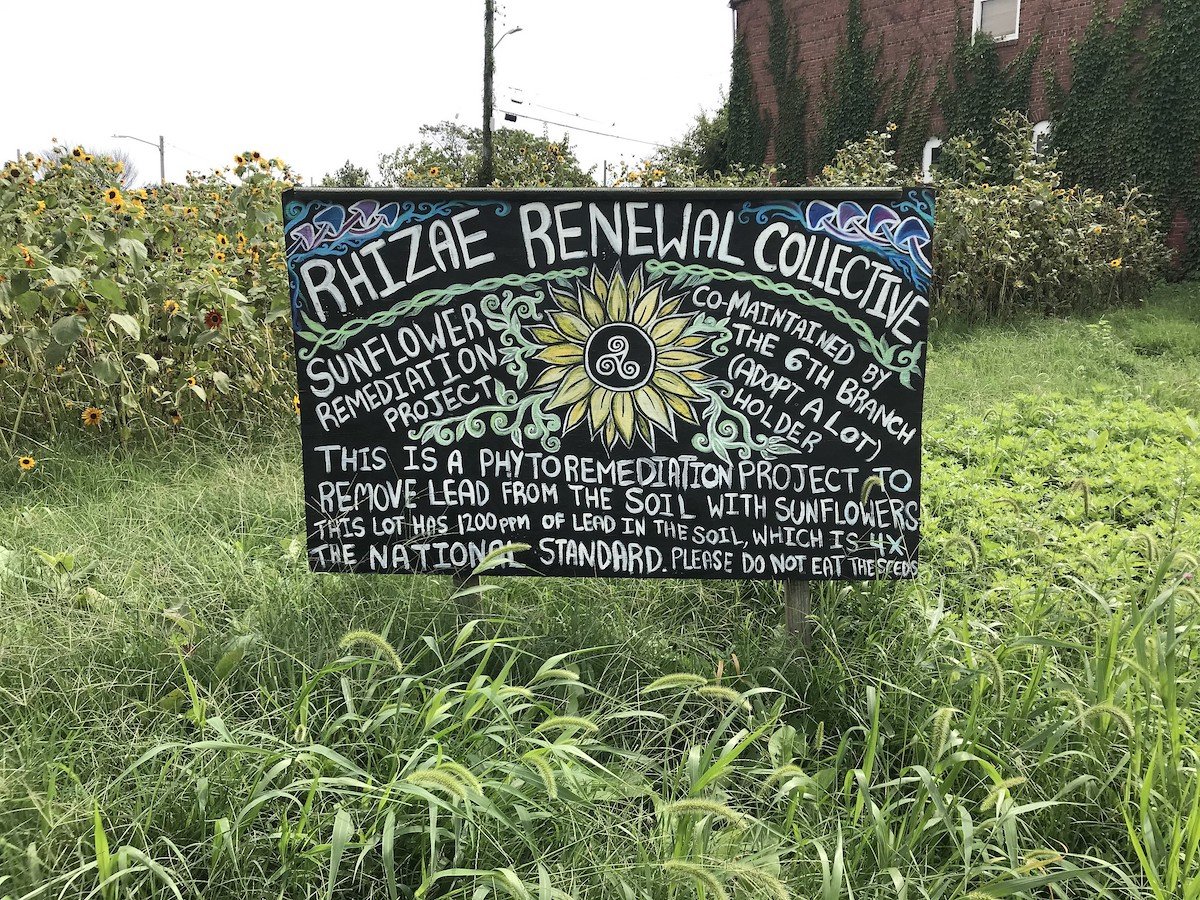 How polluted land is turning into thriving community spaces - EHN