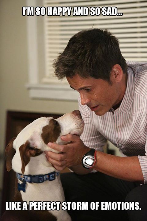 Goodbye To 'Parks And Rec' And TV's Only 3-Legged Pit Bull