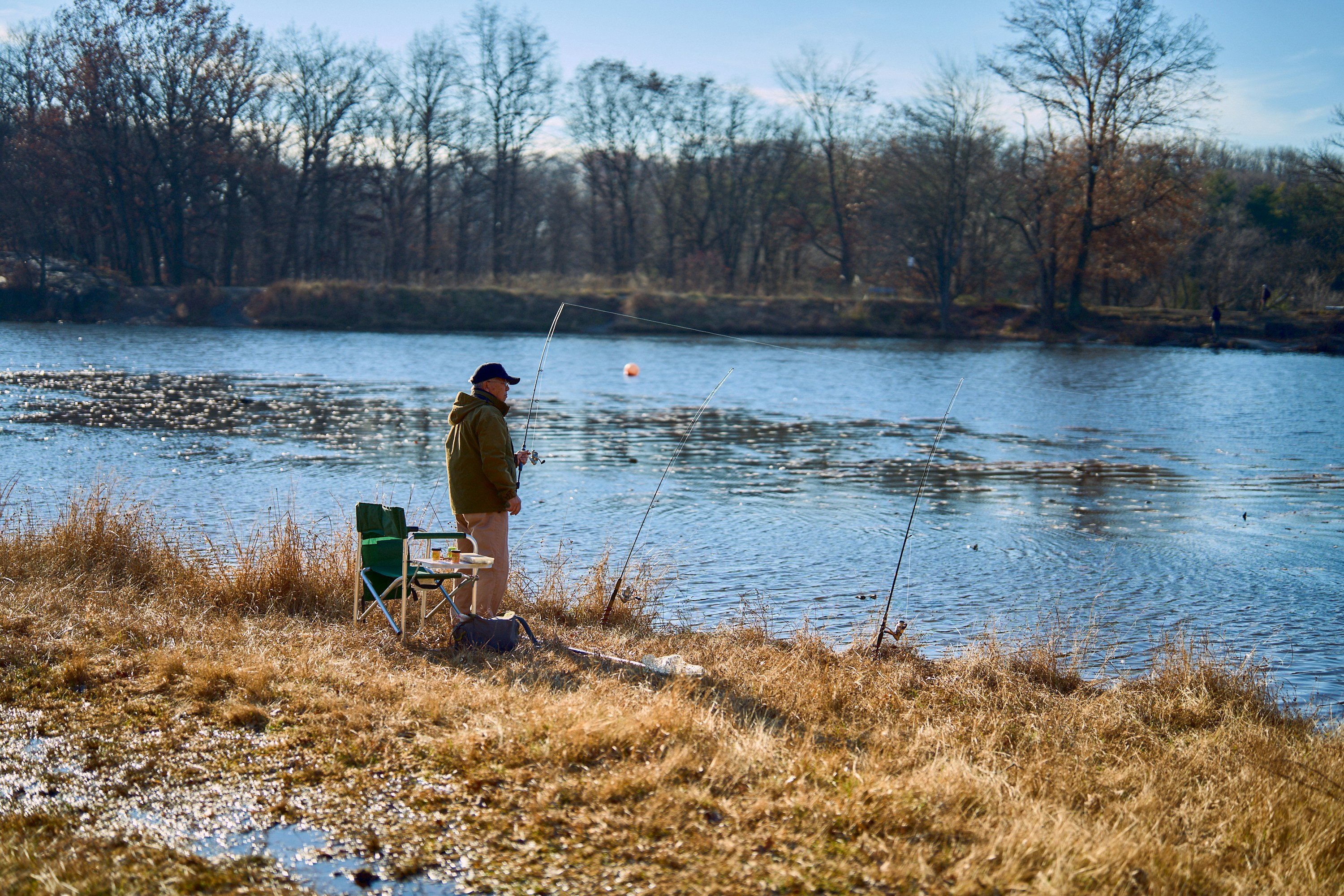 Chemical contaminants in U.S. freshwater fish exceed pollution ...