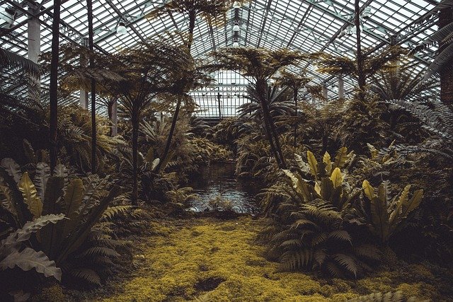 Botanic gardens face a space crisis as extinction risks rise - EHN