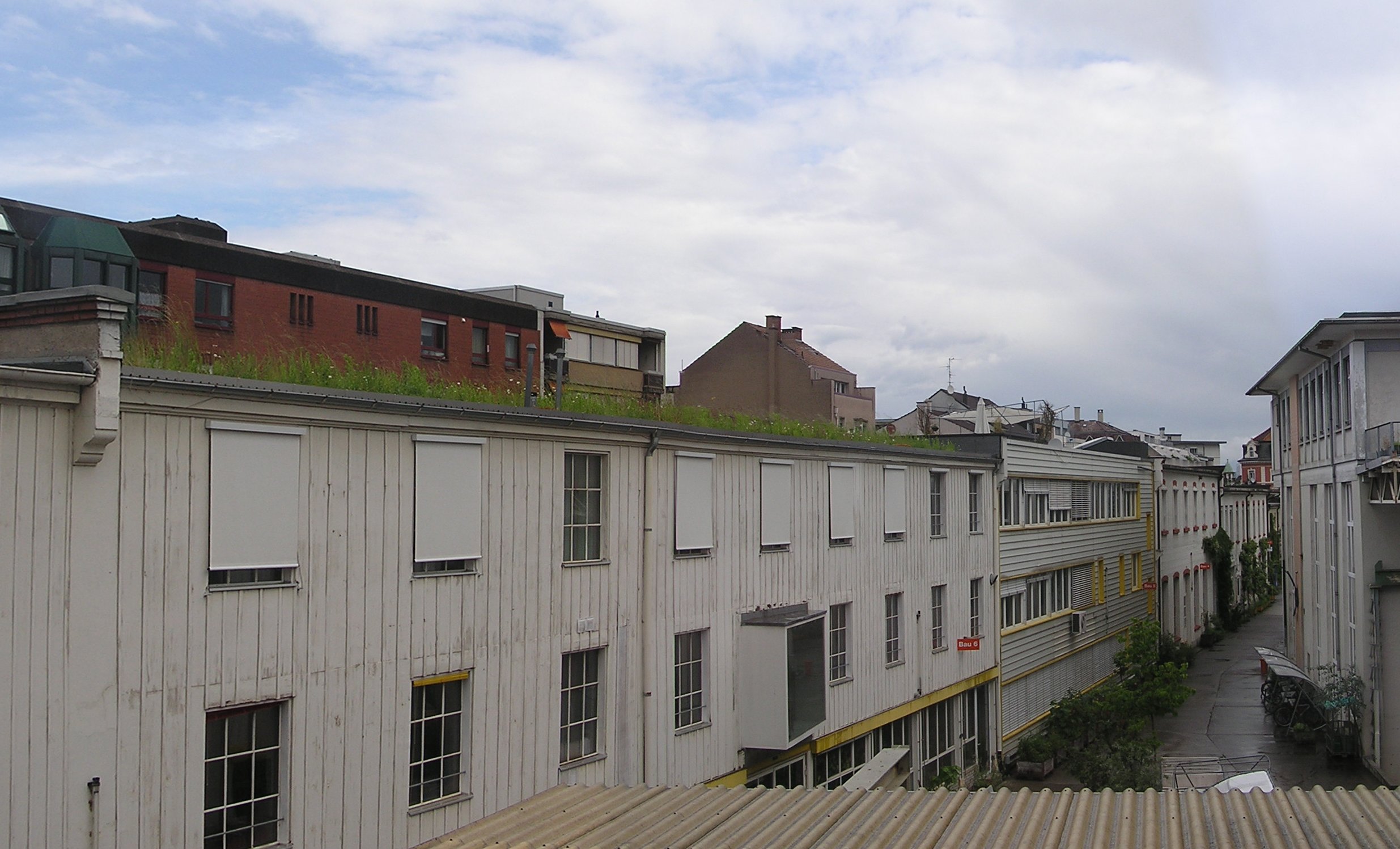 Basel’s green roof revolution is creating a thriving urban ecosystem - EHN