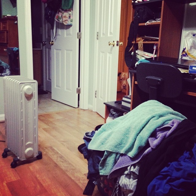 Spot The Pup: Can You Find These 13 Hidden Dogs?