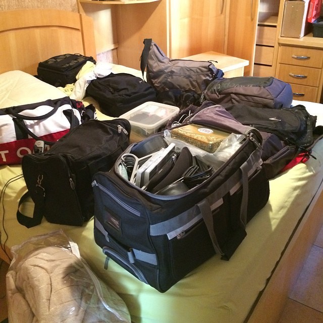 Spot The Pup: Can You Find These 13 Hidden Dogs?