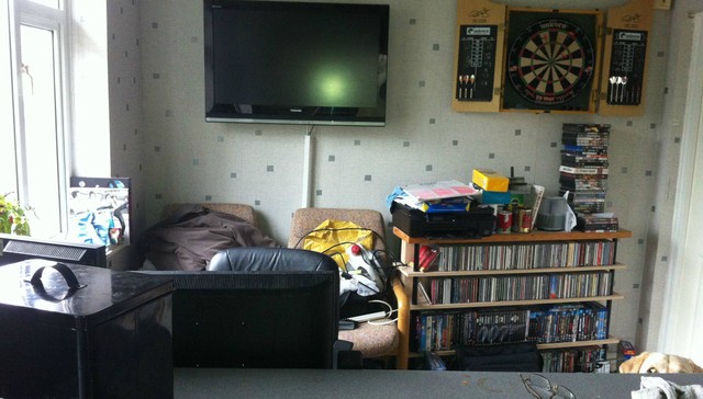 Spot The Pup: Can You Find These 13 Hidden Dogs?