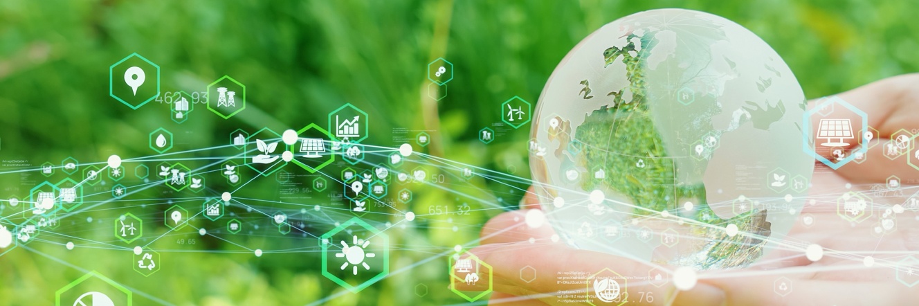Ricoh Sustainable Leadership Recognized With Ecovadis Platinum Ricoh