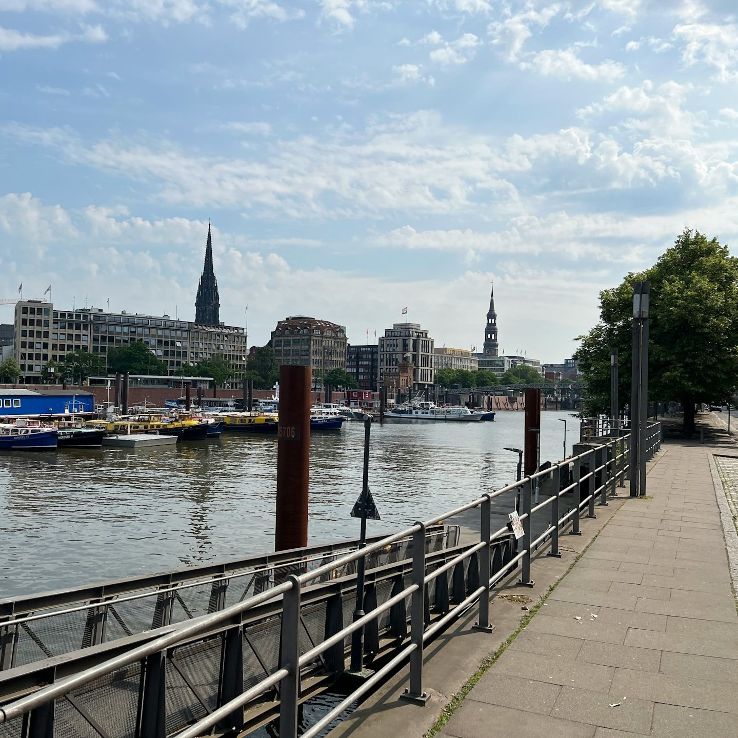 A filthy river once left for dead is now teeming with life - EHN