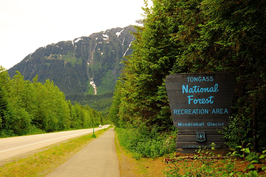Trump administration revives plan to open Alaska’s Tongass rainforest ...