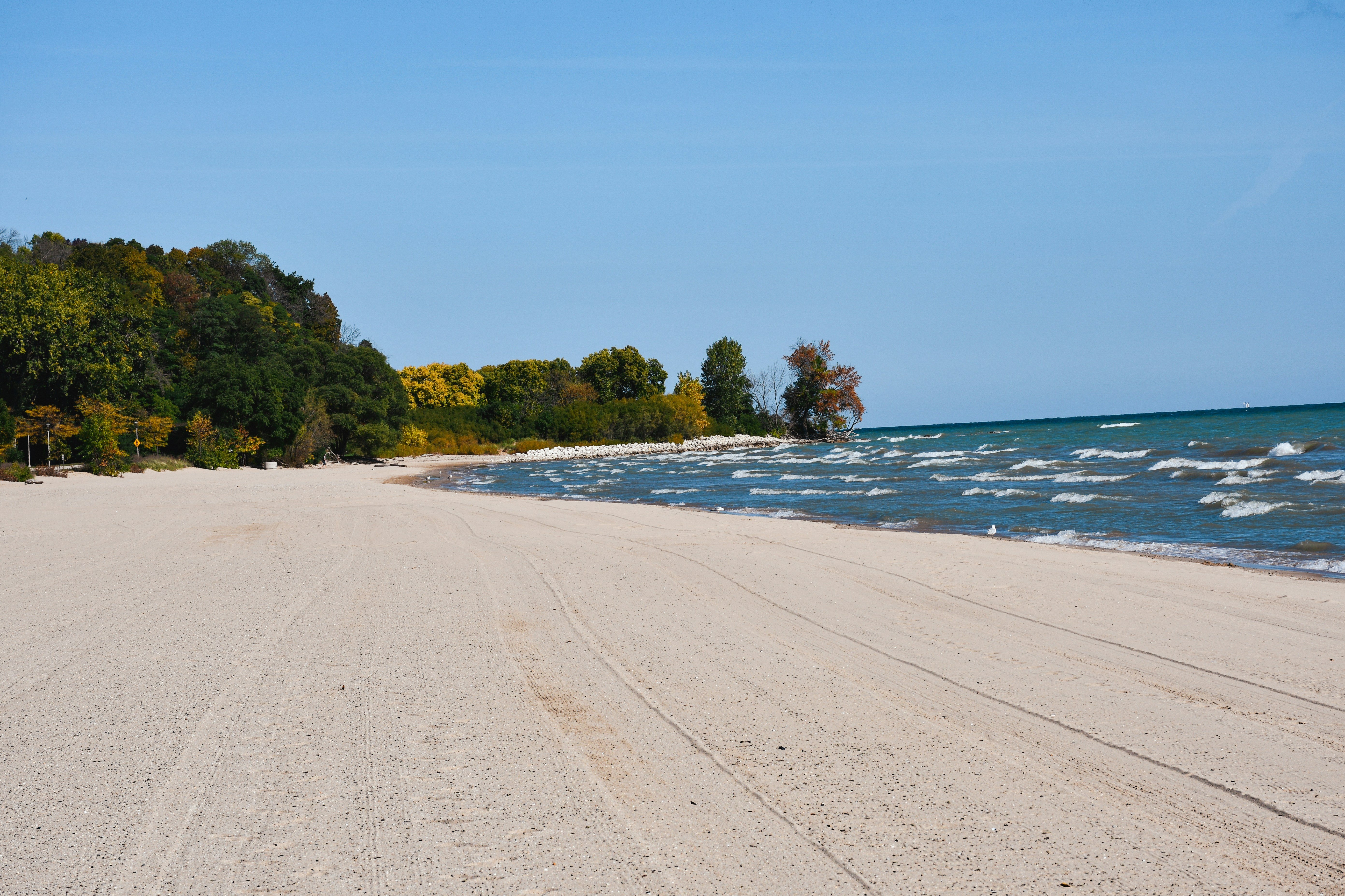 Great Lakes scientists warn of heavy microplastic pollution in fish and ...