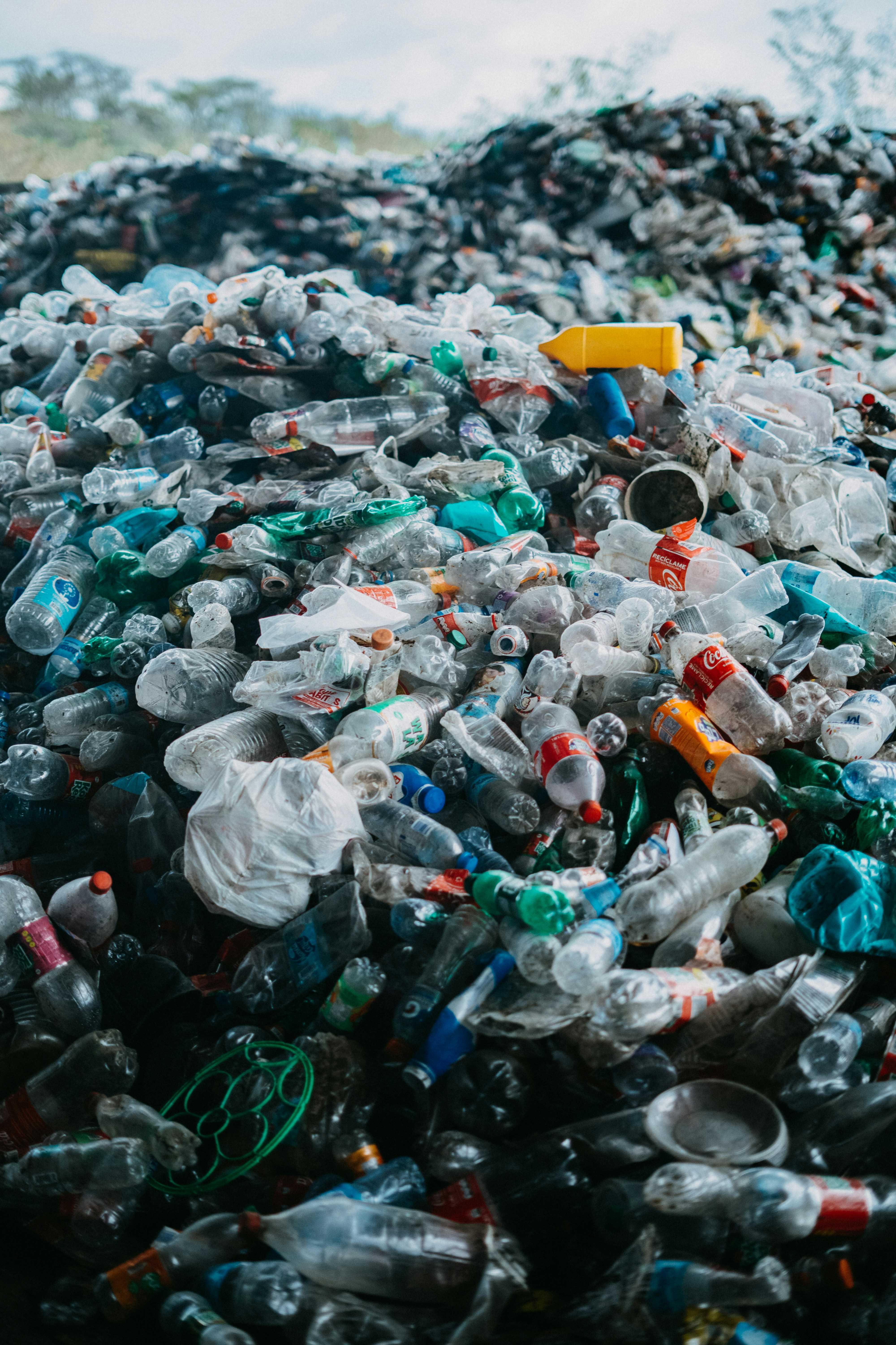 Recycling plastic increases the amount of toxic chemicals it contains - EHN