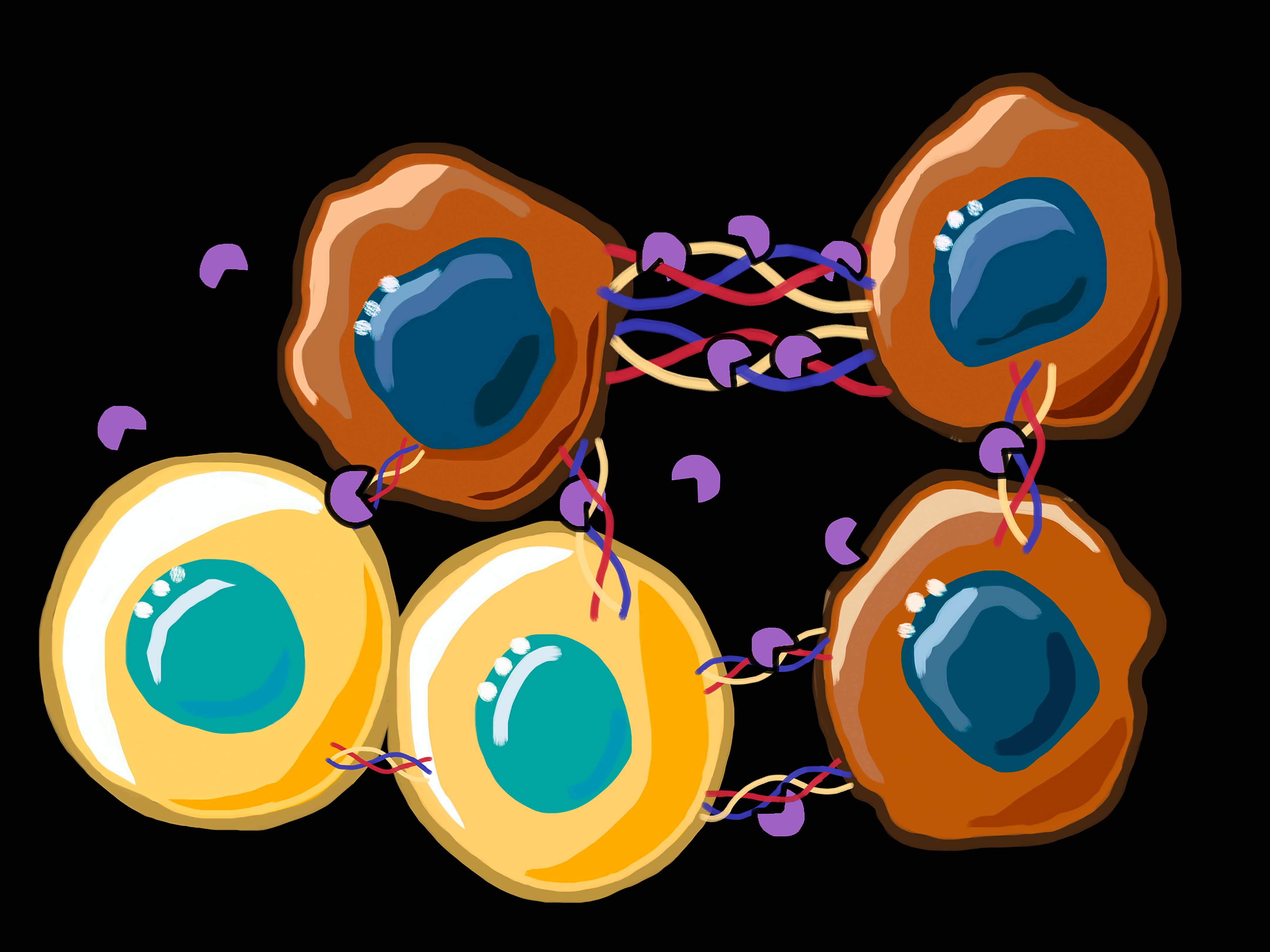 Global Rare Cell Isolation Market $5.1 Billion by 2033