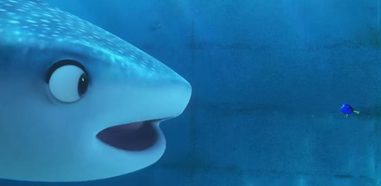 ‘Finding Dory’ Sends A Clear Message To SeaWorld