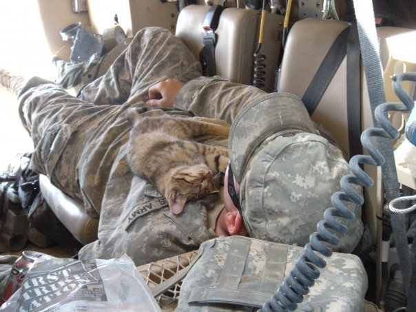 18 Loving Animals Who Befriended Soldiers Overseas