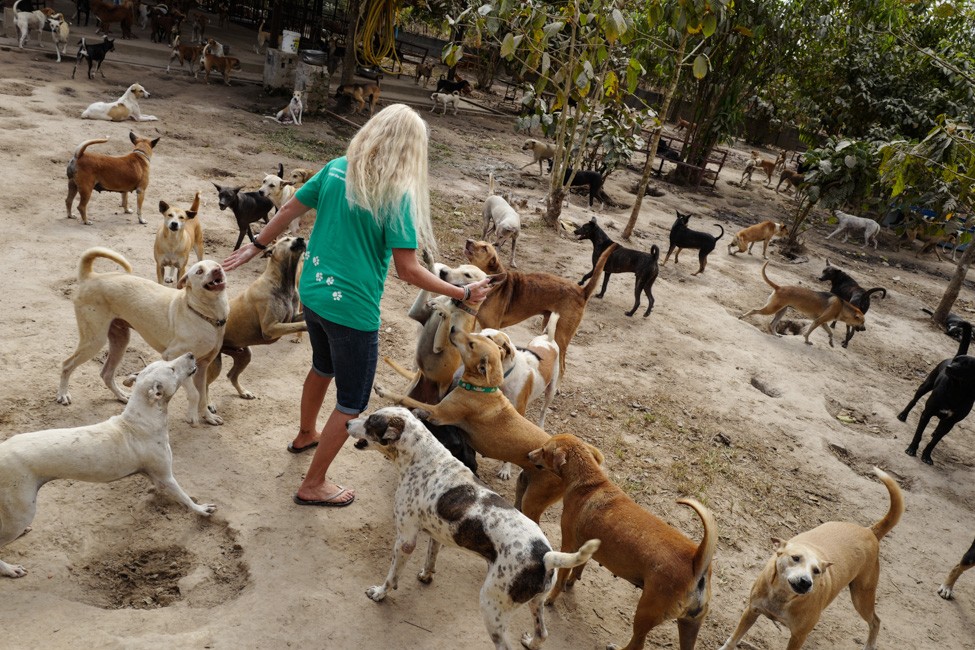 My Girlfriend Fell In Love With 2 Puppies In Myanmar