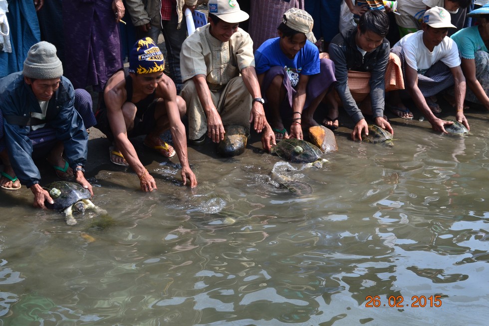 This Incredible-Looking Turtle Is Coming Back From The Brink Of Extinction