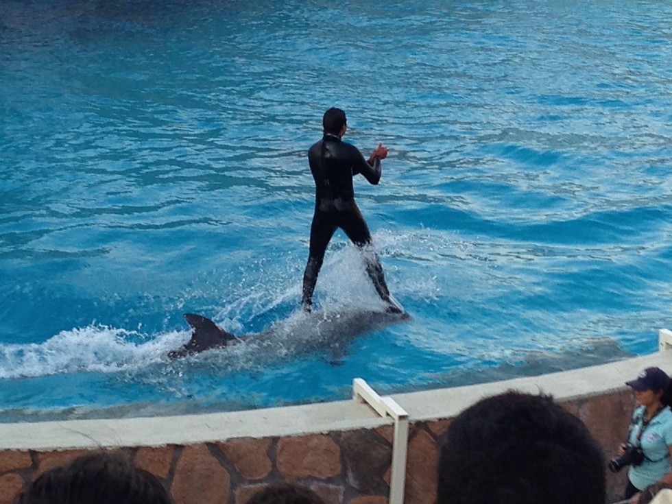 These 5 Aquariums Are Just As Bad As SeaWorld