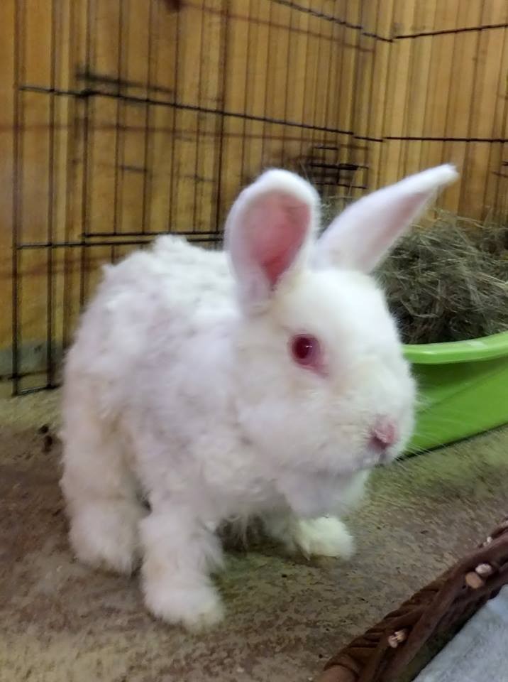 Animal Rescuer Wakes Up To Containers On Her Driveway