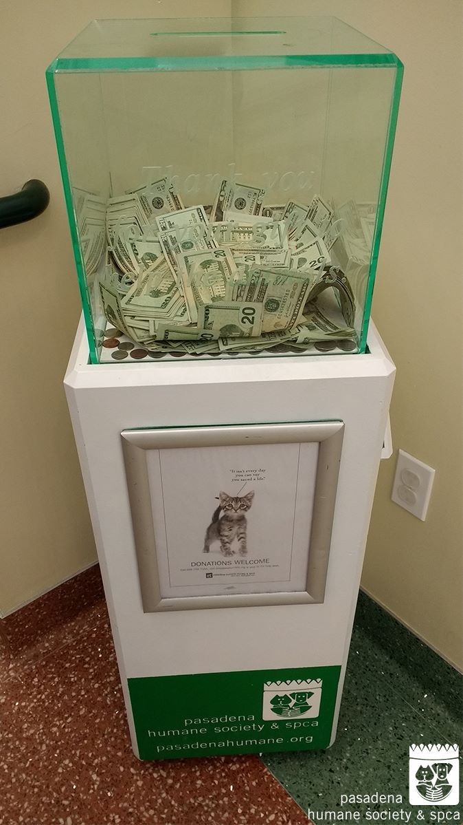 Somebody Just Dropped $8,000 Into This Animal Shelter's Donation Box