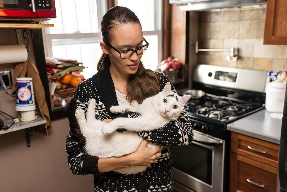 A Day In The Life Of 12 Internet-Famous Cats