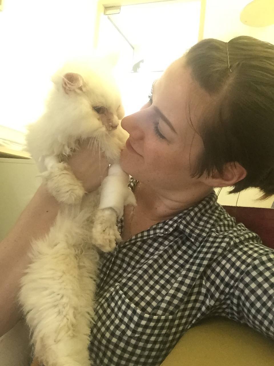 Woman Saves The Cat Everyone Else Said Was Unadoptable